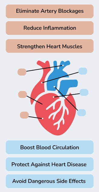 Healthy Heart Solution Kit Sale